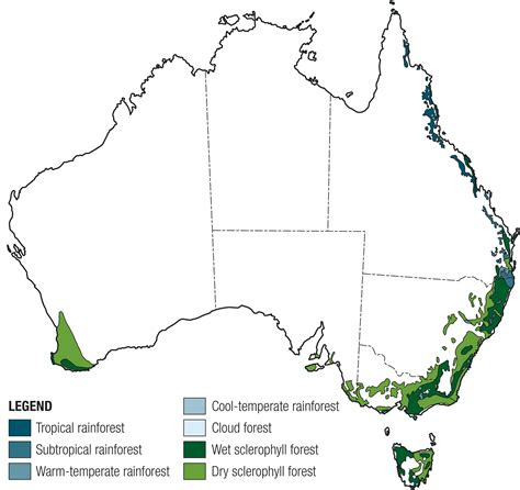 Rainforests in Beautiful Australia – Nelle's journey