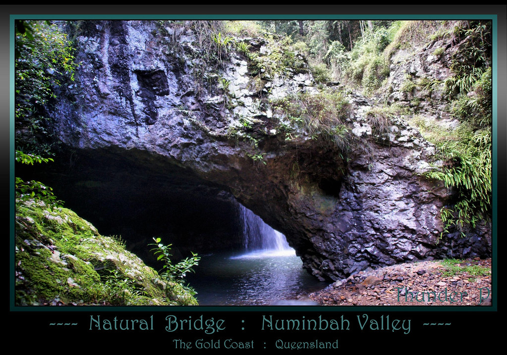 Rainforests in Beautiful Australia – Nelle's journey