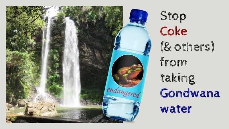 Protect our Gondwana forests. Stop water mining in Springbrook ...