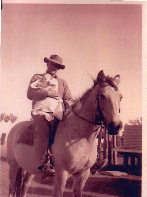 A tribute to my horses – Nelle's journey