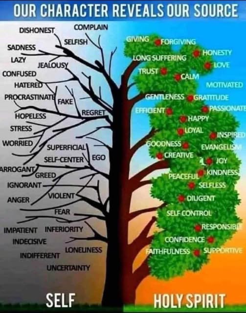 Our Character Reveals our Source – Nelle's journey